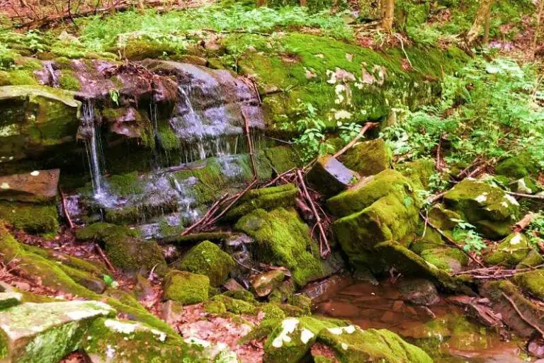 Hike The Shaupeneak Ridge Trails
