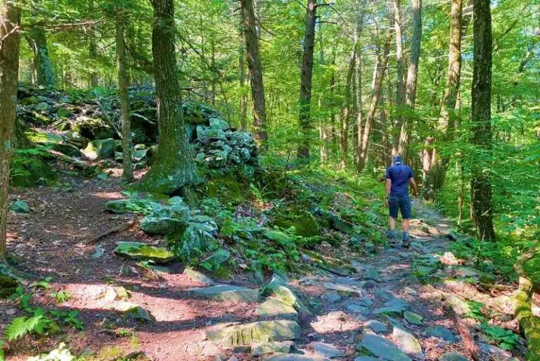Hike The Shaupeneak Ridge Trails