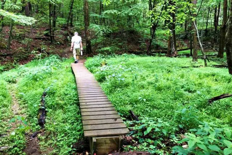 Hike The Shaupeneak Ridge Trails