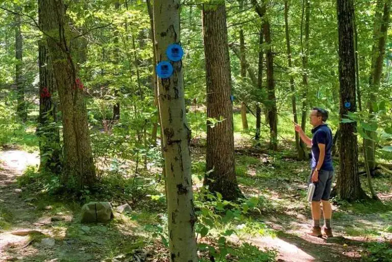 Hike The Shaupeneak Ridge Trails