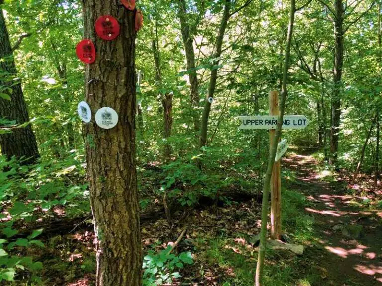 Hike The Shaupeneak Ridge Trails